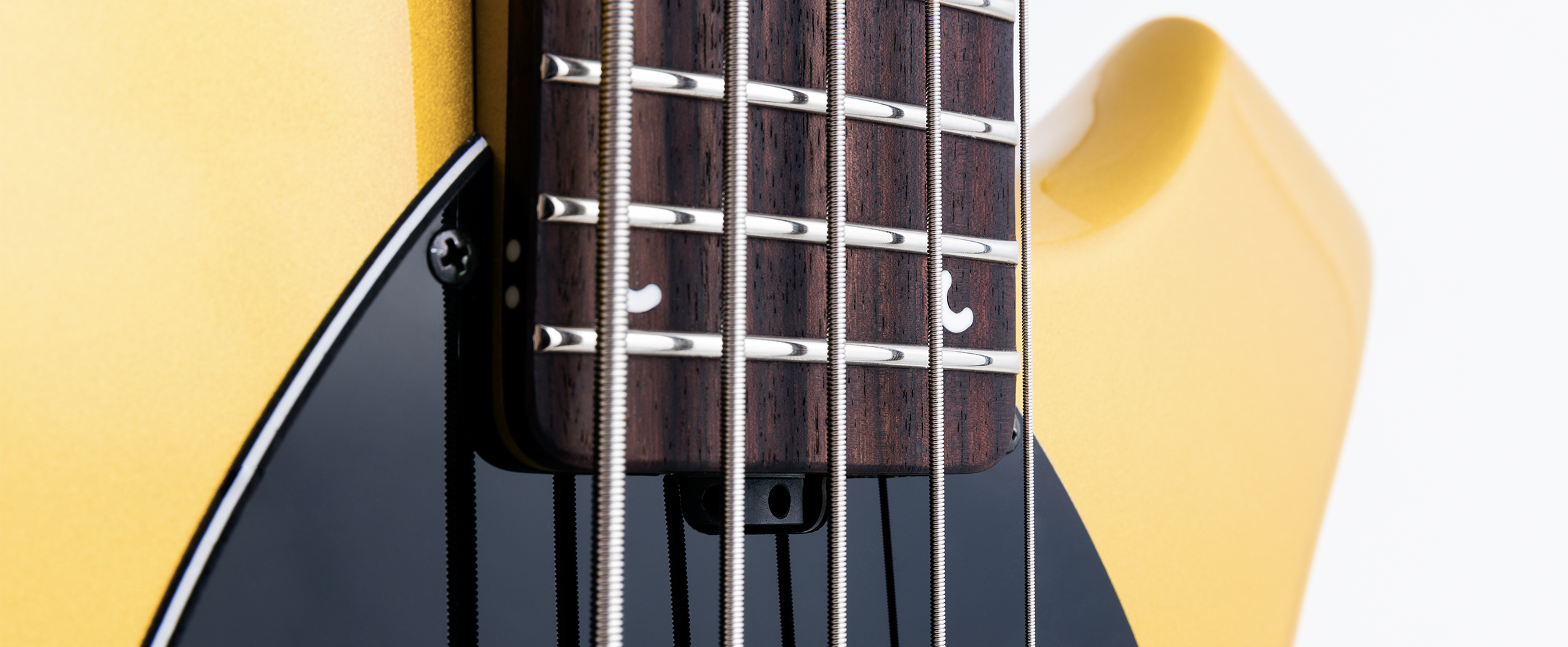 Music Man Bongo 5 HH - Sky Blue - Pau Ferro Unlined Fretless - White ...